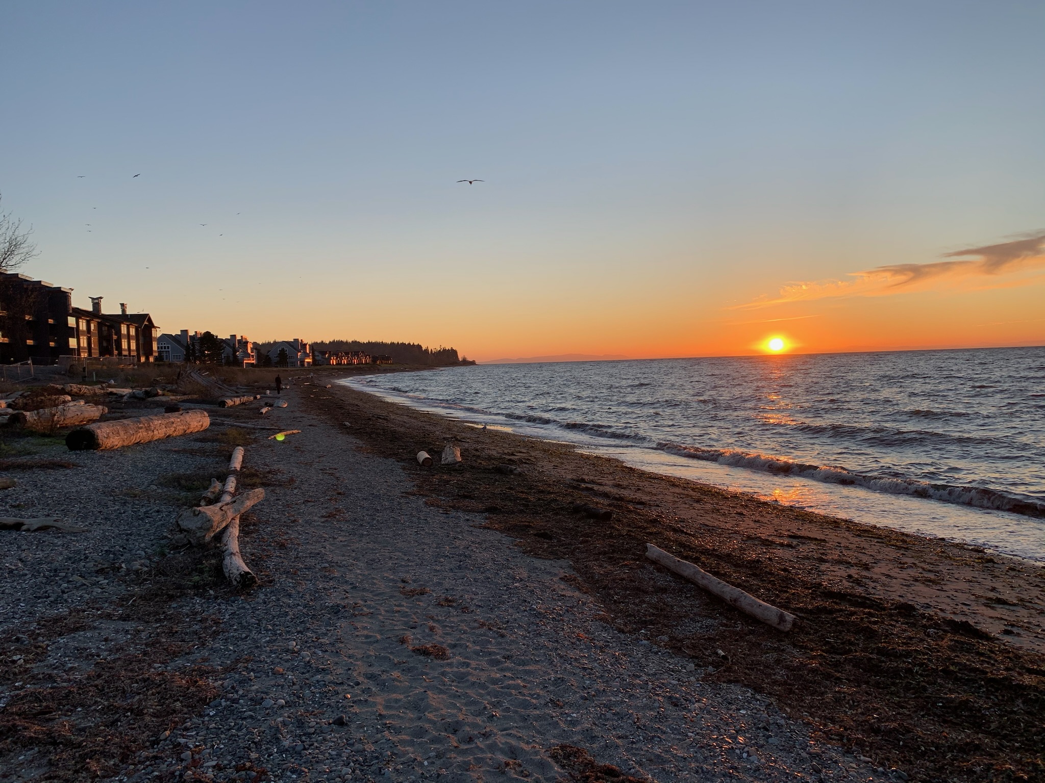 Manage The Books LLC